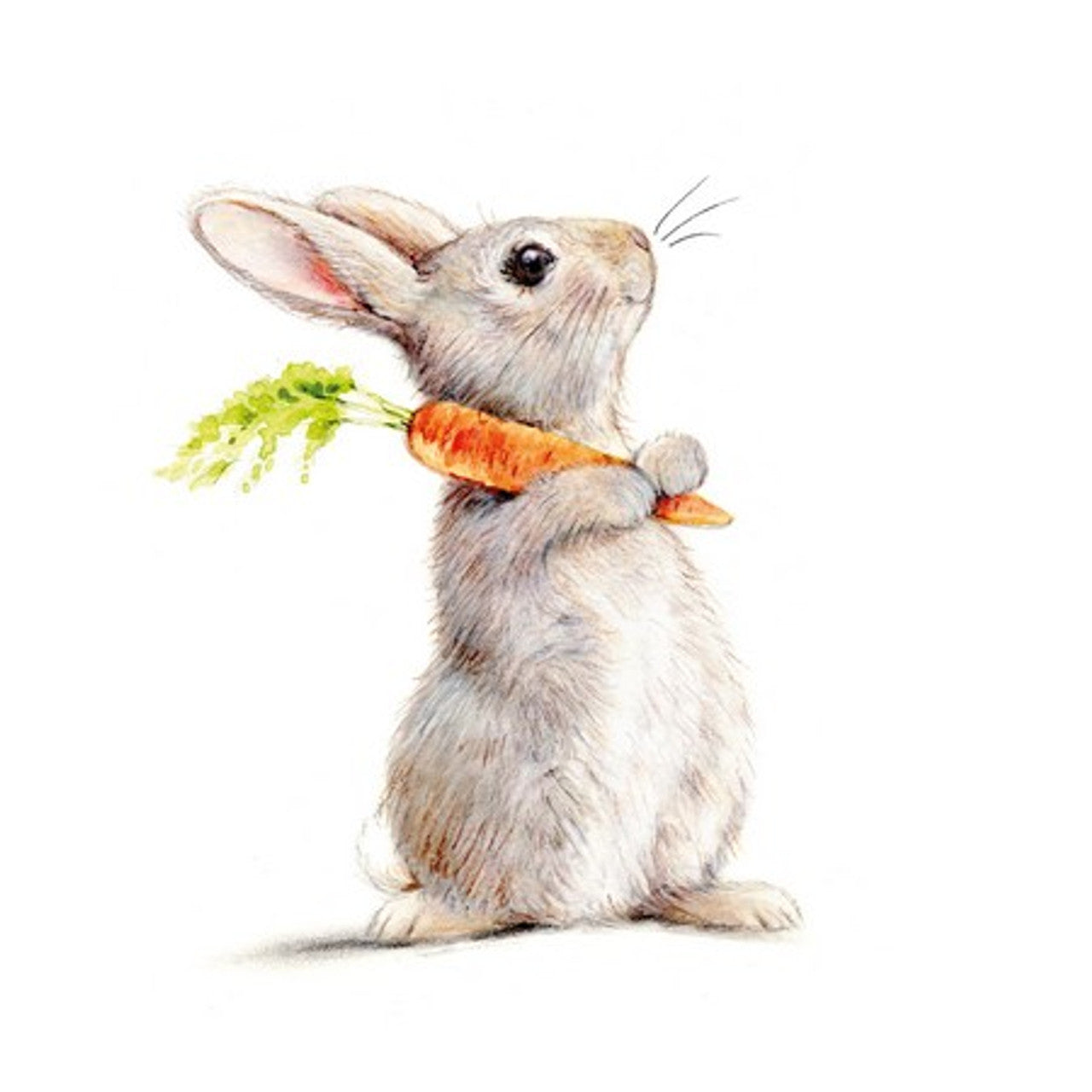 Easter Rabbit and Carrot Napkin – Under the Mistletoe Shop